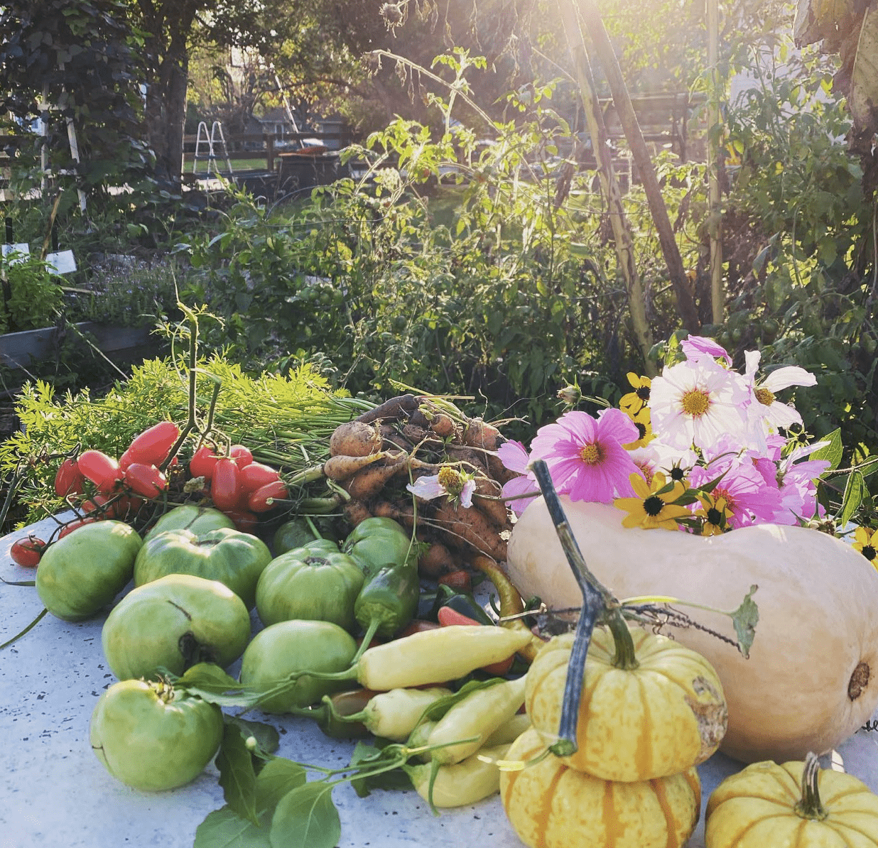 Farmhouse to Urban Farm in Stillwater Minnesota - Upstream