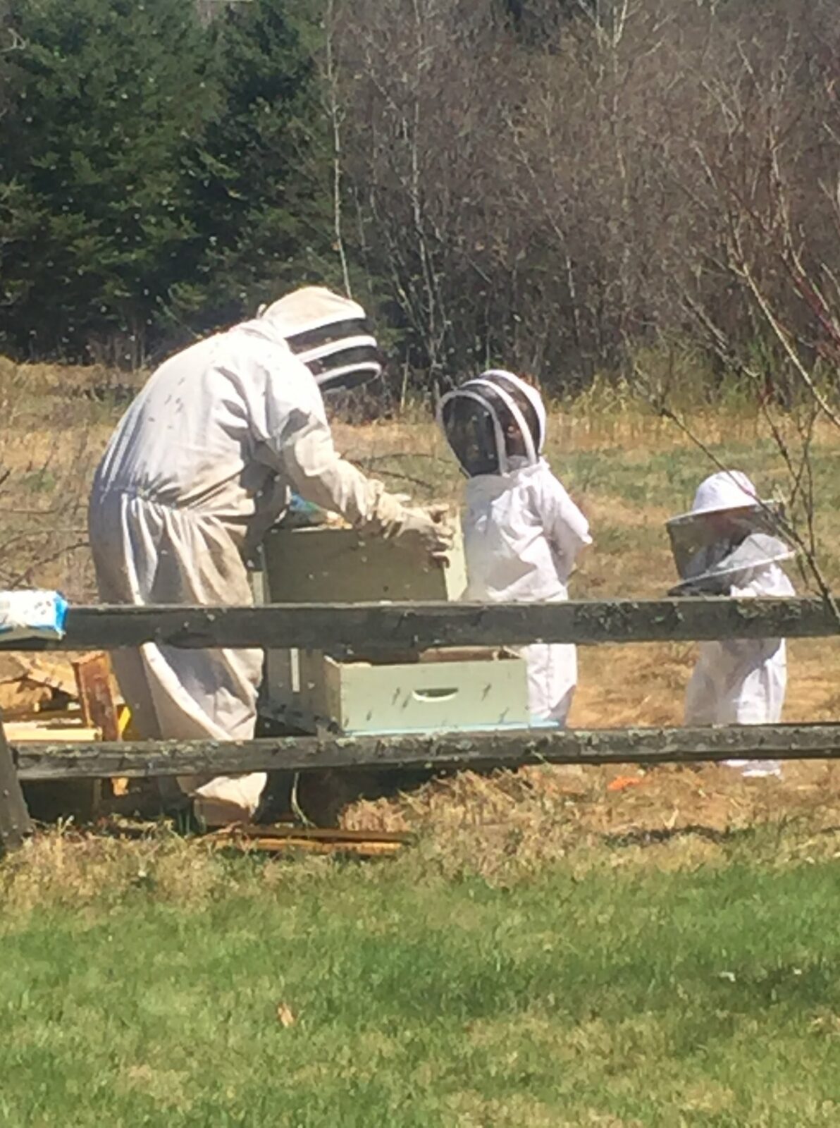 John McComb: Northern Minnesota Beekeeper Combats Challenges to Save ...