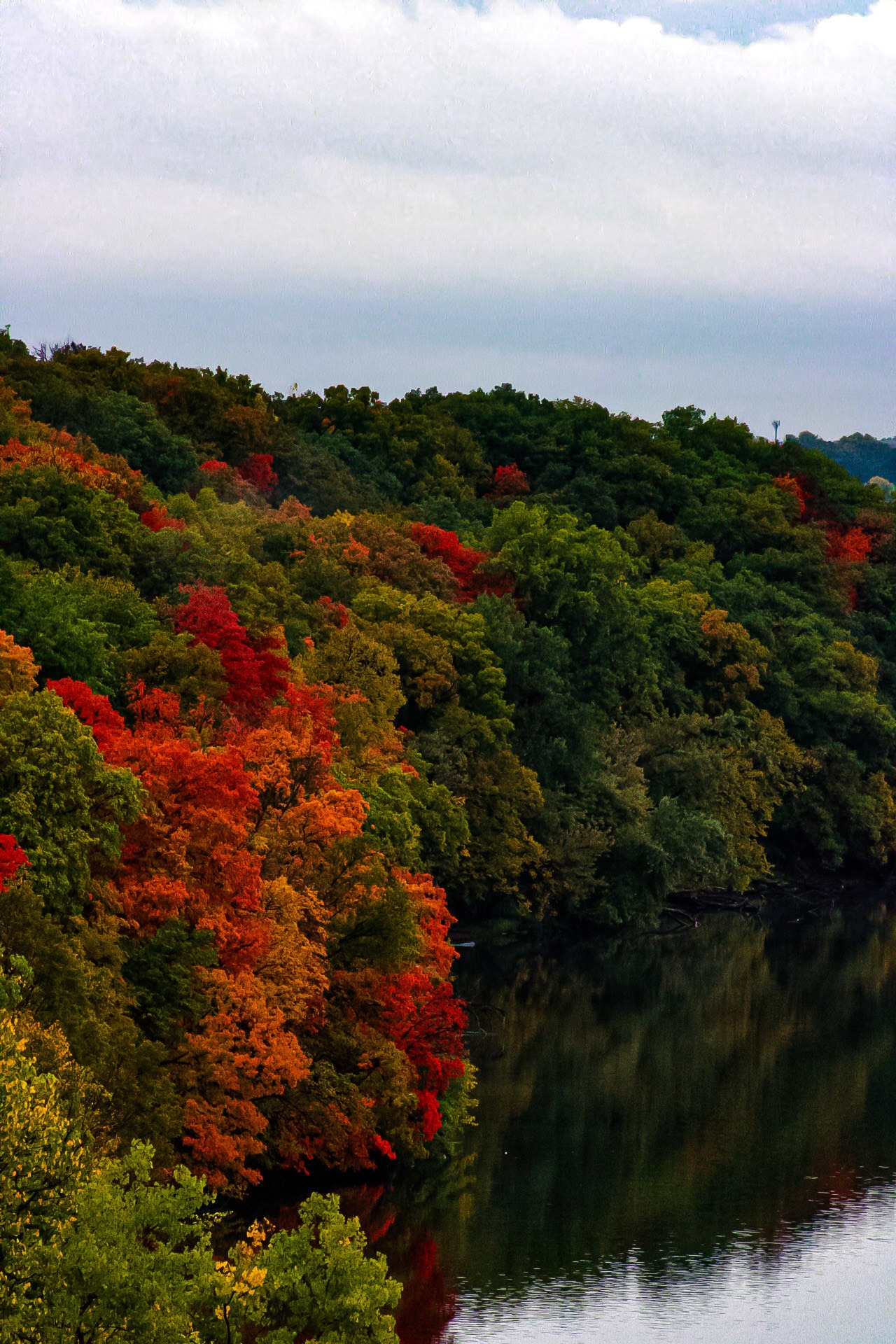 Finding Serenity and Strength in the Changing Seasons - Upstream