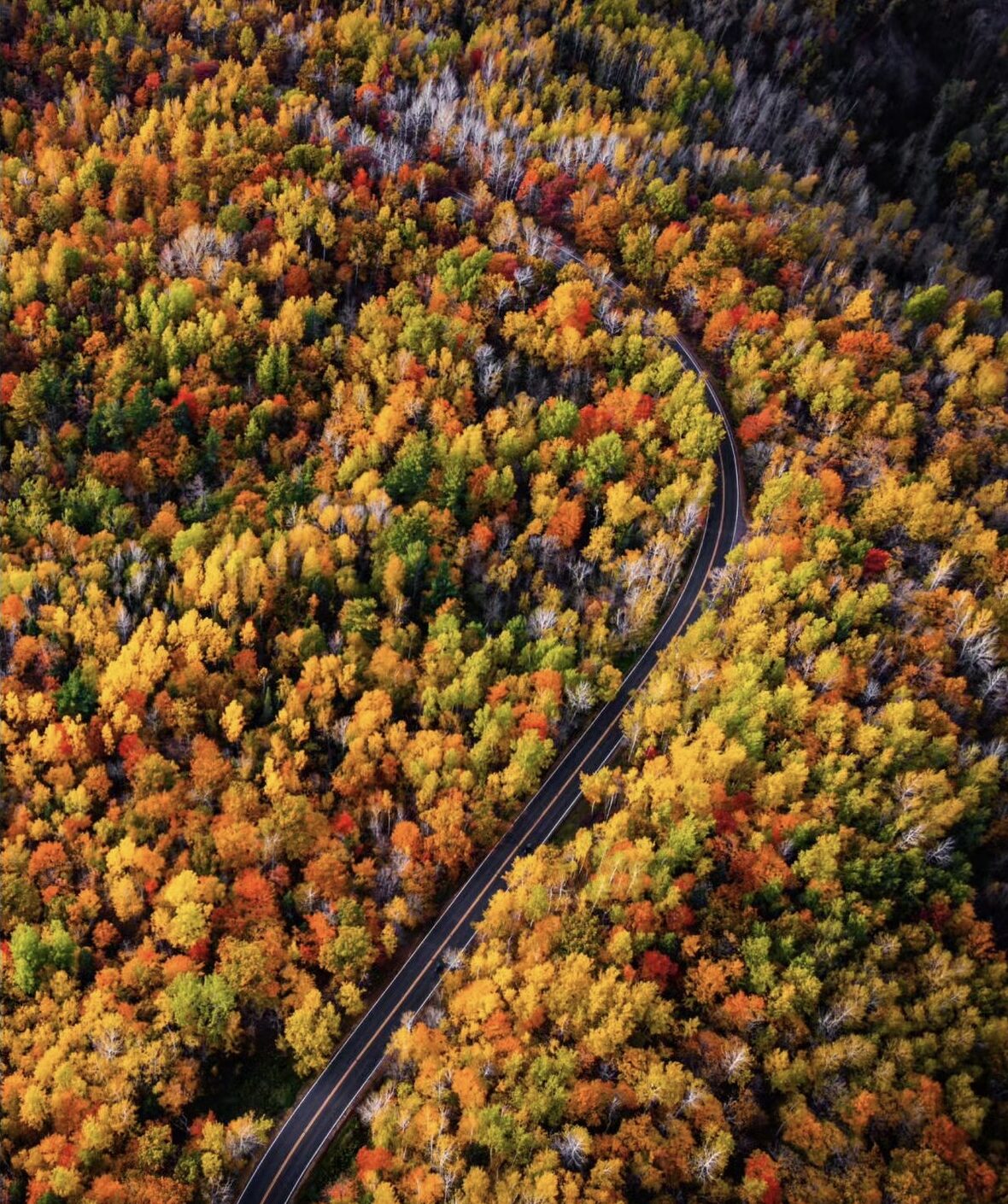 Top 5 Scenic Drives for Fall Foliage in Minnesota - Upstream
